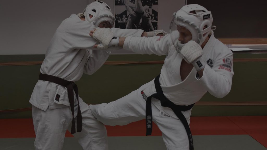 65TH SGFI KUDO TOURNAMENT – KIFI Association (Kudo International ...